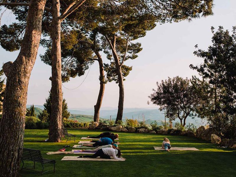 TREE THERAPY: THE WORLD’S BEST FOREST BATHING HOTELS - Sublime Samana